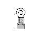 MS25036-116 Molex | Mouser Canada